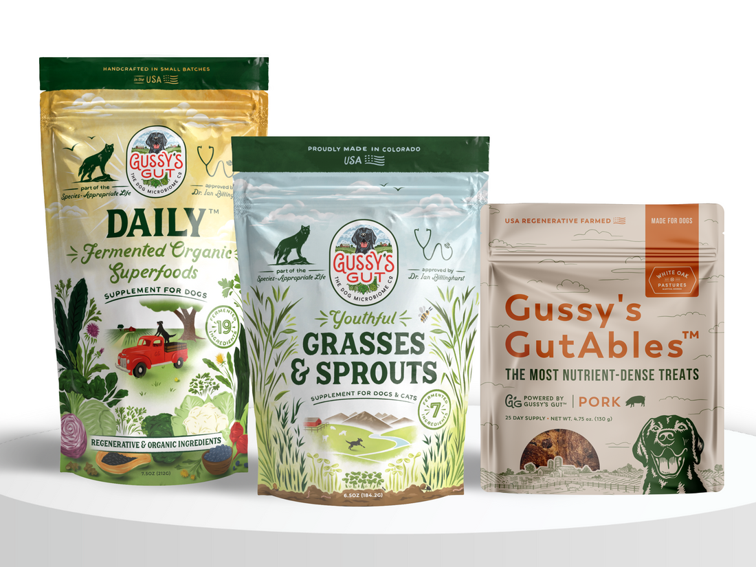 Gussy's Gut - Fermented superfoods for your dog's superior health ...
