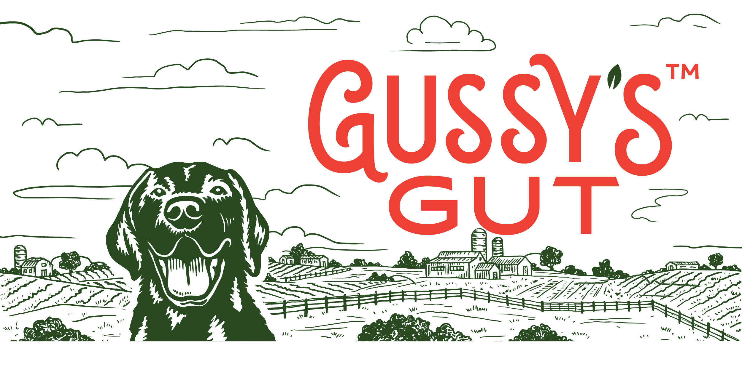 Gussy's Gut - Fermented superfoods for your dog's superior health ...