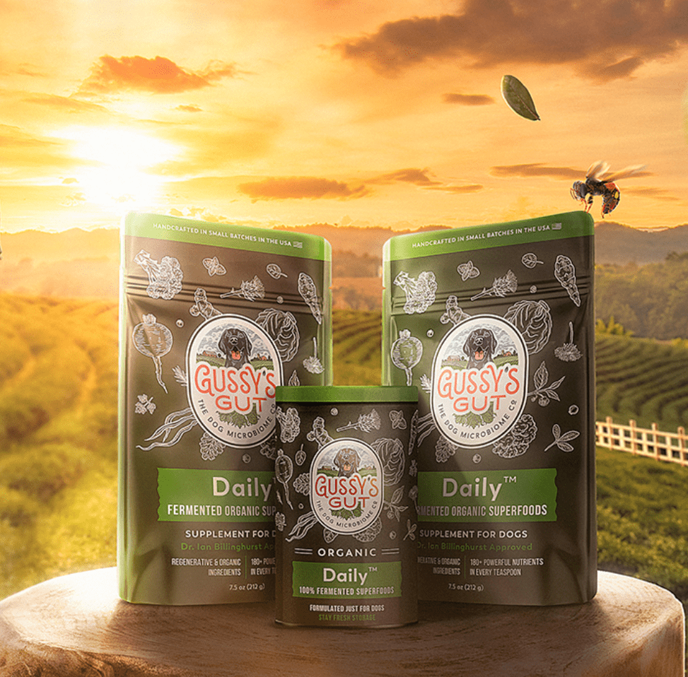 Gussy's Gut - Shop Now – Gussys Gut